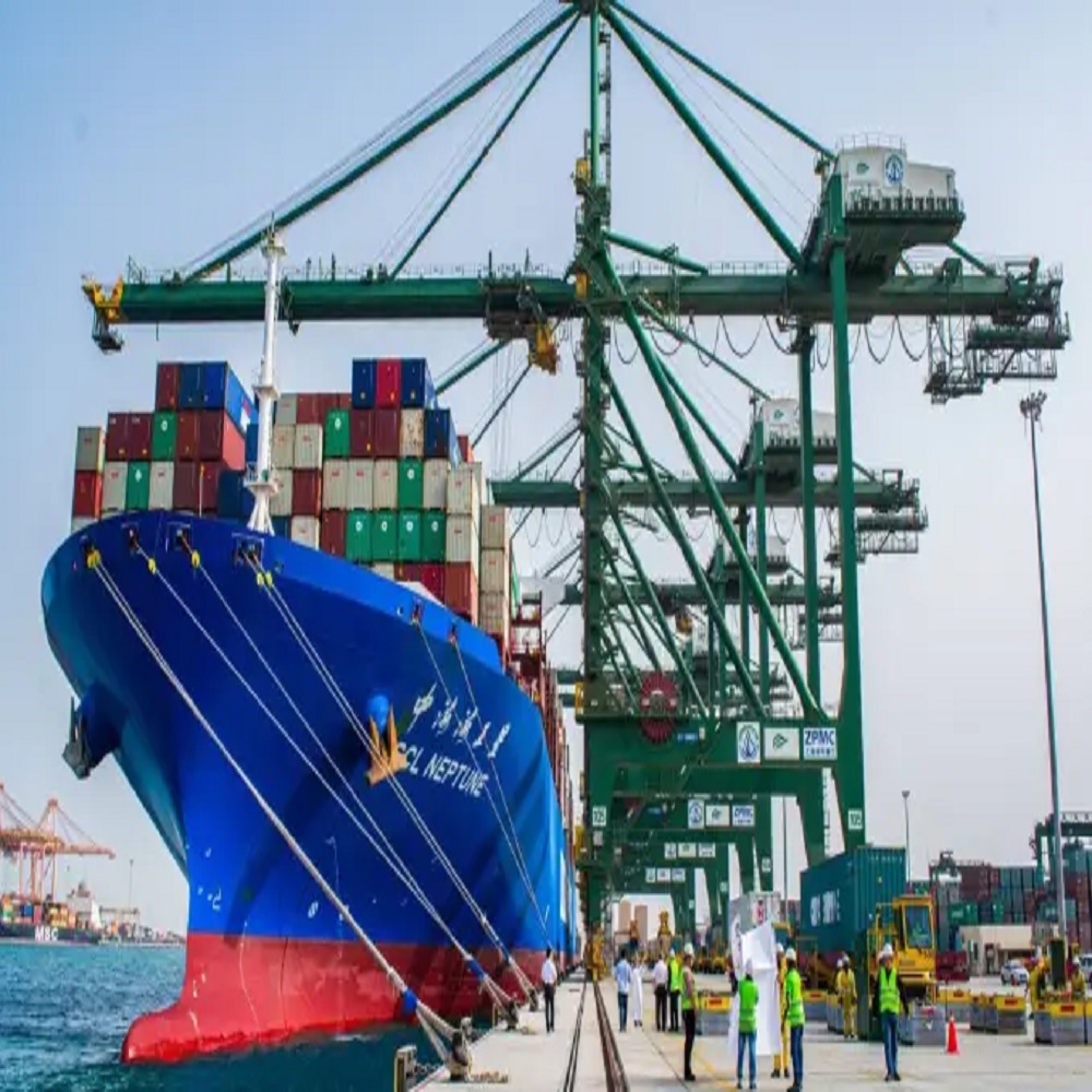 Saudi Arabia's Mawani: Driving Global Logistics Hub Ambitions with ...