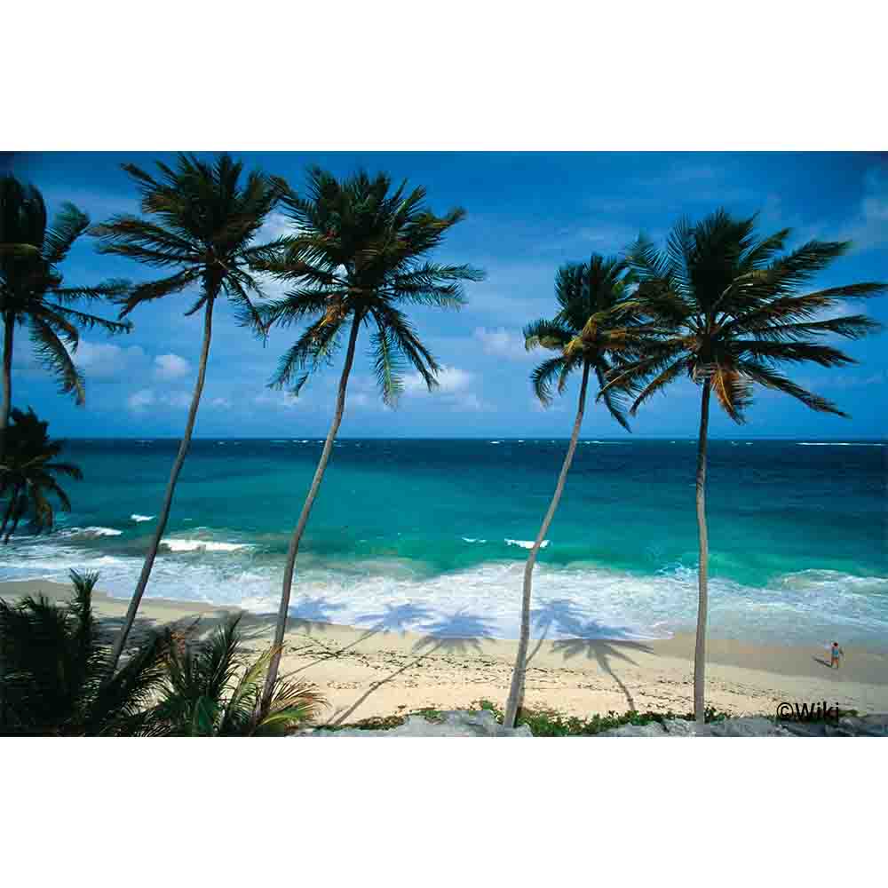 Barbados to Host the Premier Global Gathering on Supply Chain Dynamics ...